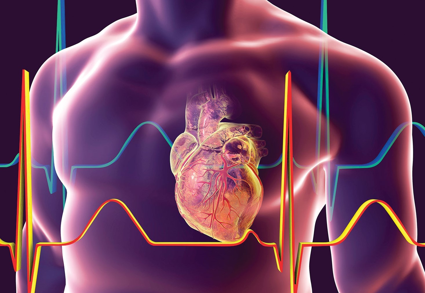 Home | Cardiovascular Consultants of South Georgia